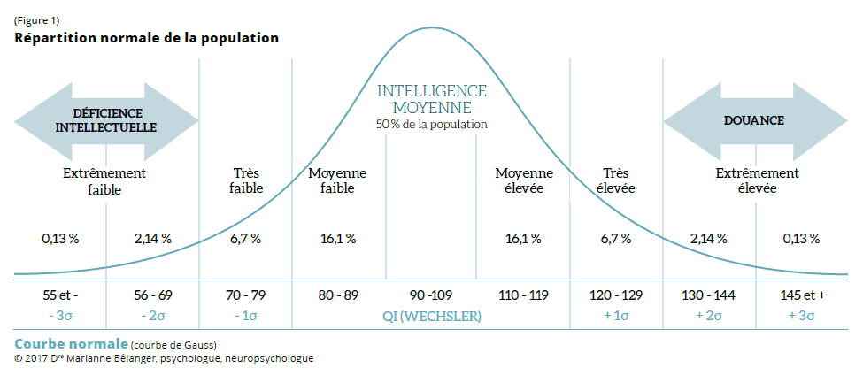Suis je haut potentiel : HP / HPI / HPE ? • Atypikoo